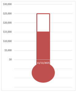 Learn How-to Make a Custom Thermometer Goal Chart in Excel